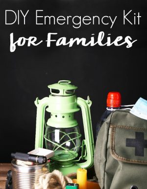 DIY Emergency Kit for Families + Families with Pets