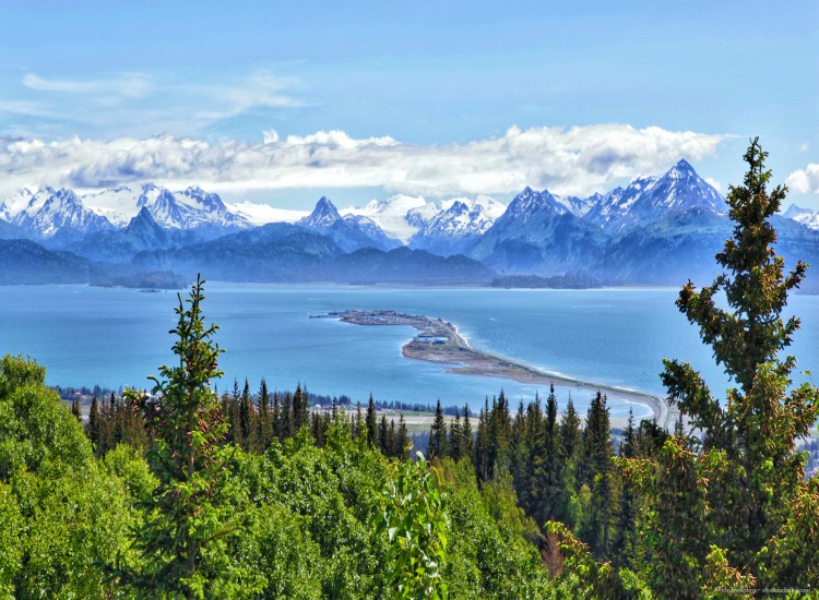 5 Major Events In Alaska You Need To See To Have The Best Alaska Trip